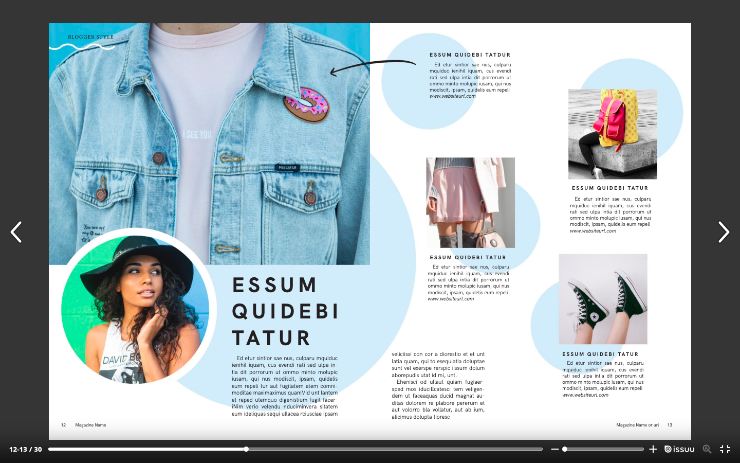 The Top 18 Magazine Software For Publishers - The Magazine Manager